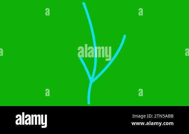 Animated linear blue plant with leaves. Icon of tree sprout. Symbol is ...