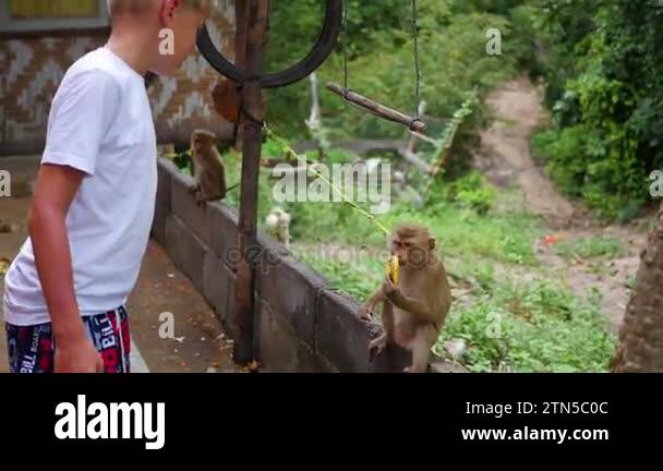 Monkey boy Stock Videos & Footage - HD and 4K Video Clips - Alamy