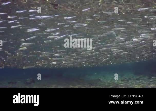 Continuous floats Stock Videos & Footage - HD and 4K Video Clips - Alamy