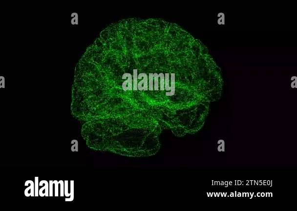 3d Brain Rotates On Black Bg Object Dissolved Flickering Particles