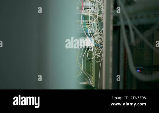 a bunch of patch network cables sorted in a rack cabinet leading from a ...