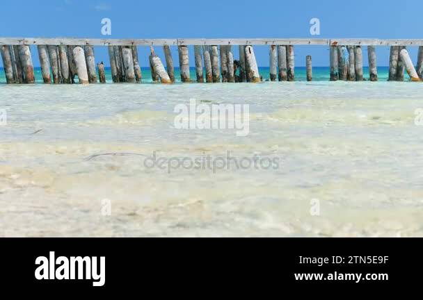 Coral fence Stock Videos & Footage - HD and 4K Video Clips - Alamy