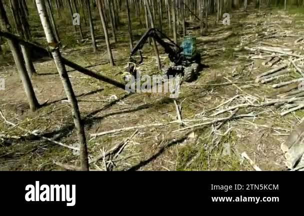 Brazil deforestation logging Stock Videos & Footage - HD and 4K Video ...