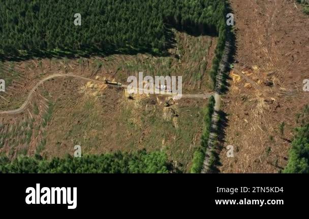 deforestation amazon rainforest forest global warming video 4k Stock ...