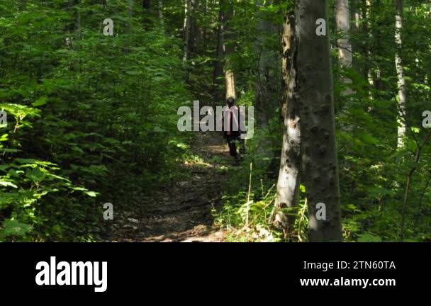 Rambling Stock Videos & Footage - HD and 4K Video Clips - Alamy