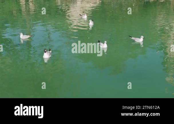 Chill sea Stock Videos & Footage - HD and 4K Video Clips - Alamy