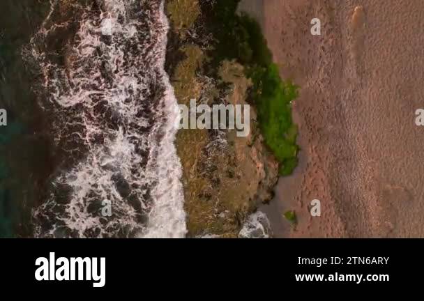 Red sea experience Stock Videos & Footage - HD and 4K Video Clips - Alamy