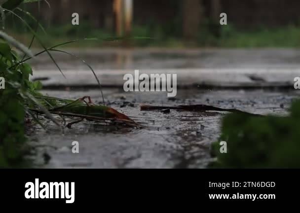 rain was falling on the roadway due to precipitation that was forming ...