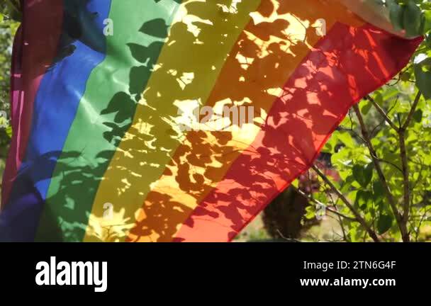 The LGBT flag is placed in a garden, through which sunlight shines ...
