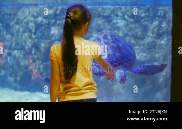 Friendship of the little girl and the tortoise. Child impressions about ...
