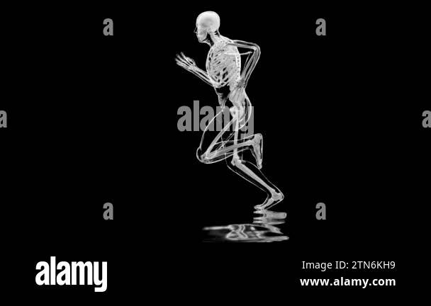 Running man anatomy medical illustration Stock Videos & Footage - HD ...