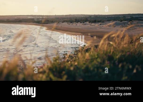 Protected nature reserve Stock Videos & Footage - HD and 4K Video Clips ...