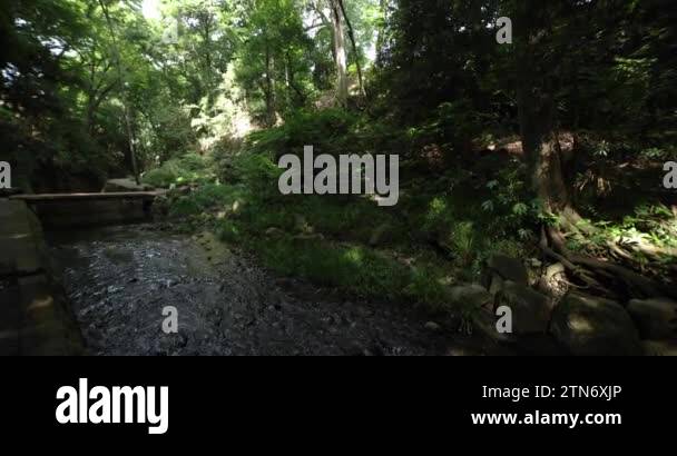 A small valley near the river in Todoroki Tokyo wide shot. High quality ...