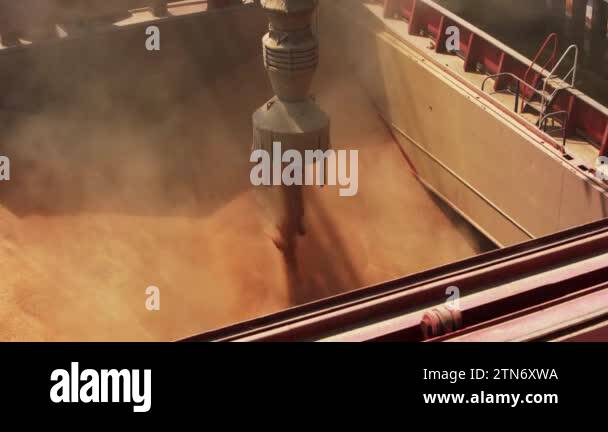 Grain loading to bulker ship cargo container at sea grain terminal in ...