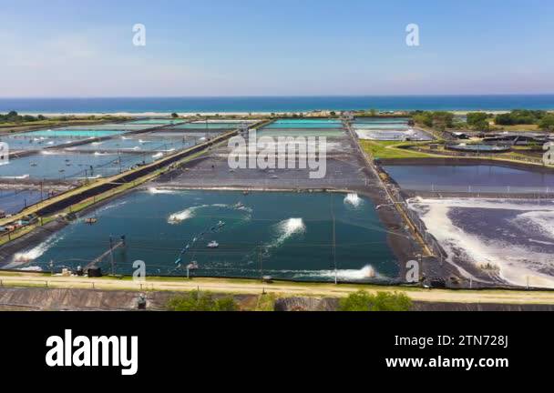 Pump ponds at a shrimp farm in the Philippines.Prawn farm with aerator ...
