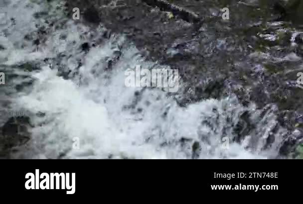 A river of Todoroki valley in Tokyo in summer telephoto shot. High ...