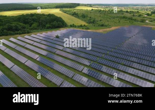 Amidst a lush meadow and forest, solar panels stand tall, harnessing ...
