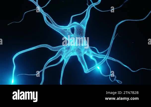 Real human brain laboratory Stock Videos & Footage - HD and 4K Video ...