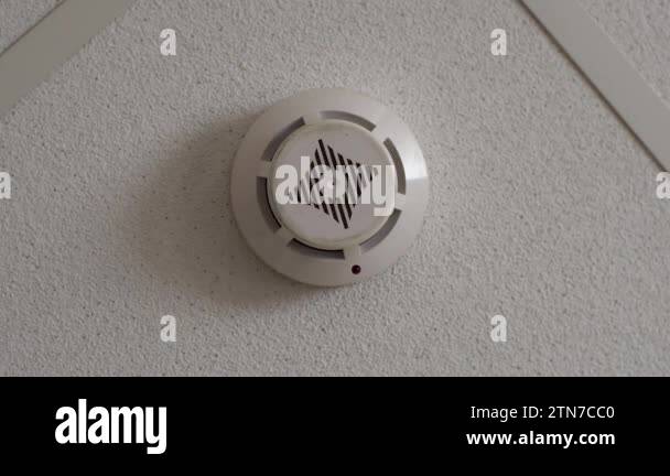 Smoke detector mounted on a suspended ceiling with blinking red LED ...