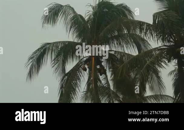 Summer monsoon storms Stock Videos & Footage - HD and 4K Video Clips - Alamy