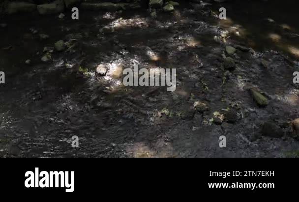 A river of Todoroki valley in Tokyo in summer. High quality 4k footage ...