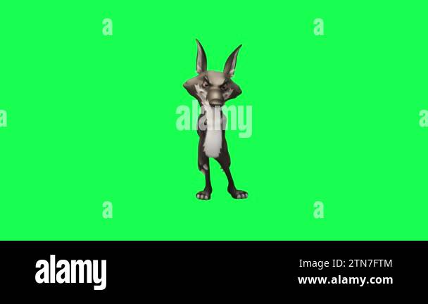 3D animation of a wolf cartoon character on a green screen walking and ...