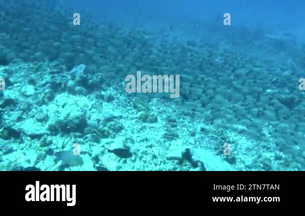 Wide range of activities Stock Videos & Footage - HD and 4K Video Clips ...