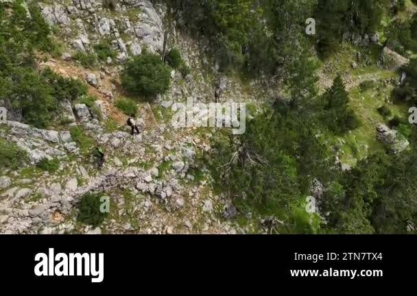 Enchanted forest landscapes Stock Videos & Footage - HD and 4K Video ...