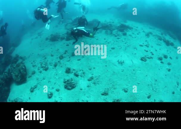 Shoal of snappers in wonderful seabed of the Andaman Sea Islands ...