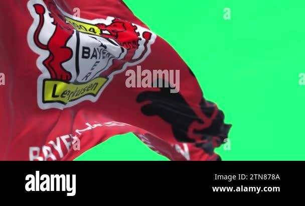 Logo de bayer Stock Videos & Footage - HD and 4K Video Clips - Alamy