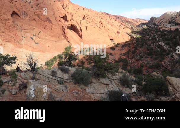 A male hiker ascends a trail in the Upper Muley Twist Canyon in Capitol Reef National Park, Utah ...