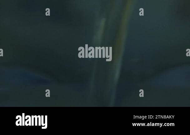 Water spill Stock Videos & Footage - HD and 4K Video Clips - Alamy