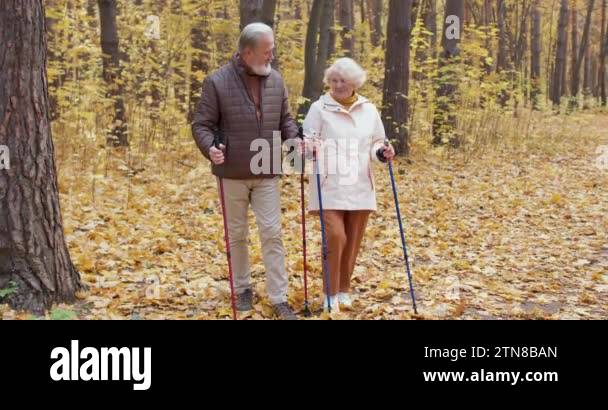 Two sporty active happy old pensioners enjoy nordic walk in nature wood ...