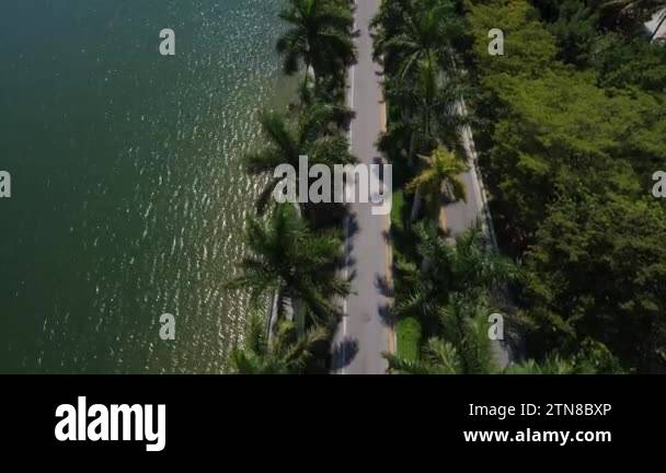 Palm trees by the road Stock Videos & Footage - HD and 4K Video Clips ...