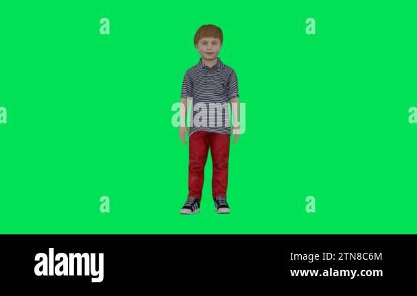3d render green screen chroma key animation isolated The elementary ...
