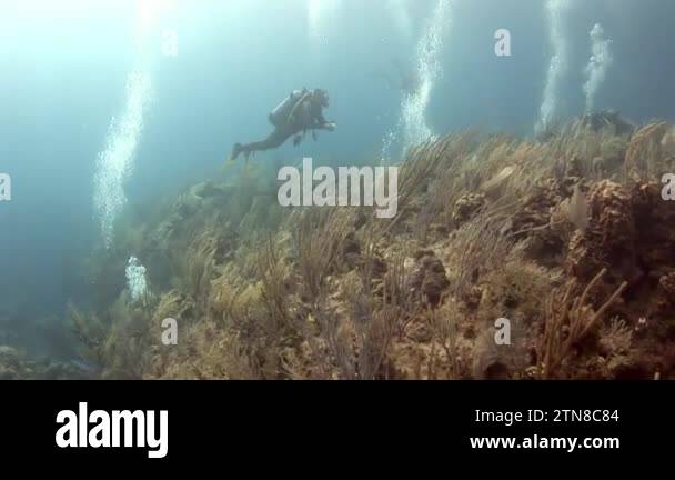Deep sea explorer Stock Videos & Footage - HD and 4K Video Clips - Alamy