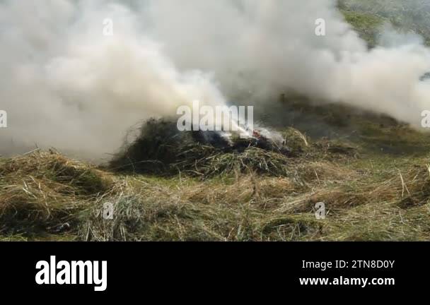 Smoke without fire Stock Videos & Footage - HD and 4K Video Clips - Alamy