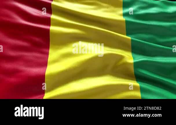 4k render Guinea Flag video waving in wind. Guinea Flag Wave Loop ...