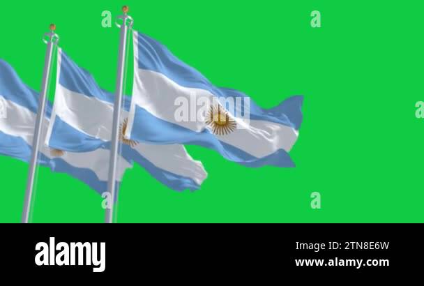 Three Argentine flags waving on green background. Seamless 3D render ...
