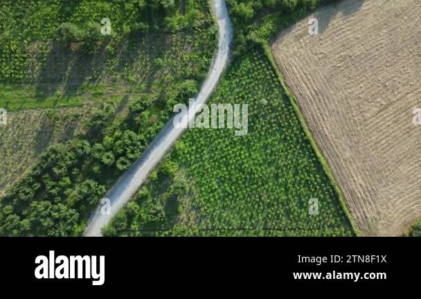 Crop varieties Stock Videos & Footage - HD and 4K Video Clips - Alamy