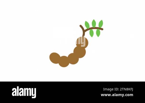 Tamarind, Fruits animated icon on transparent background Stock Video ...
