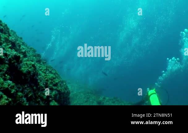 Isla Del Coco, January 4, 2018: Beautiful view of diver and bubbles ...