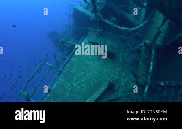 Scuba divers swims on the Shipwreck Swedish ferry MS Zenobia. Wreck ...