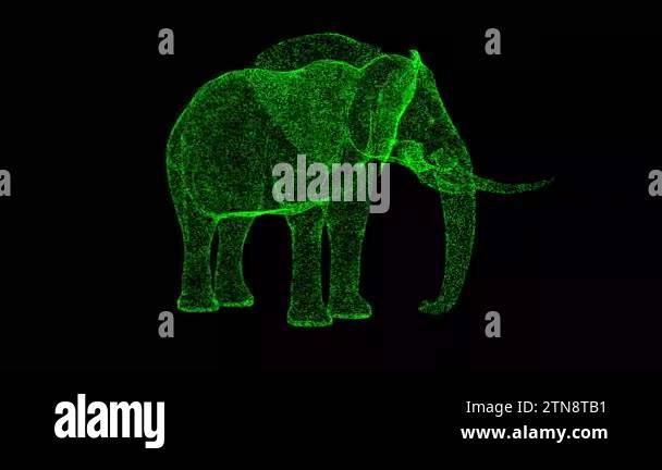 3D Elephant rotates on black bg. Seamless loop animation for animals ...