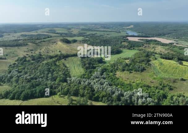 Leaves rustle, trees sway, a drone soarsa scenic dance of nature's ...