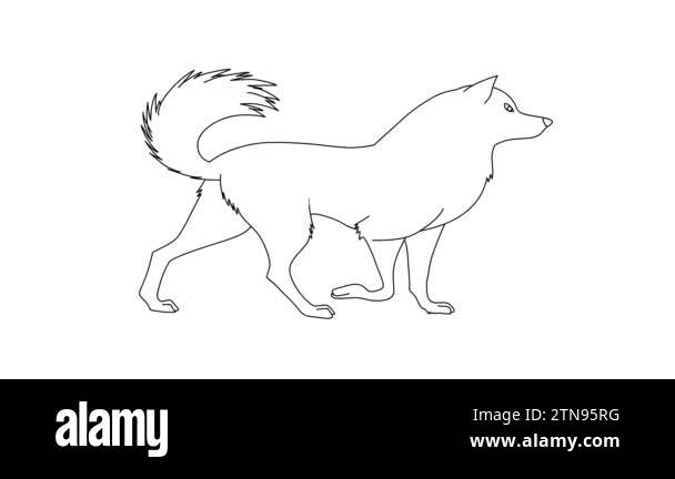 Animation sprite sheet Stock Videos & Footage - HD and 4K Video Clips ...