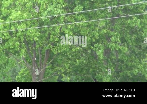 Wire lift Stock Videos & Footage - HD and 4K Video Clips - Alamy