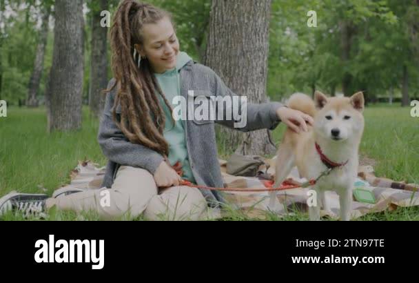 Slow motion of woman caressing sweet shiba inu dog expressing love for ...