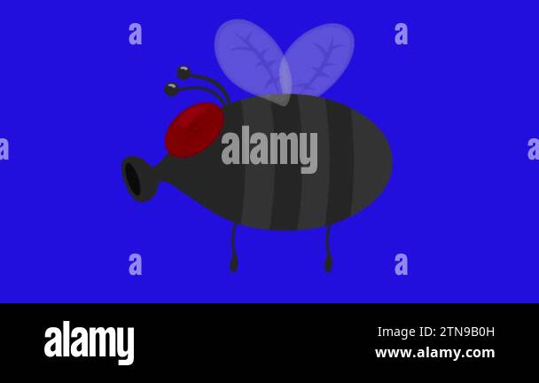 Illustration fly Stock Videos & Footage - HD and 4K Video Clips - Alamy