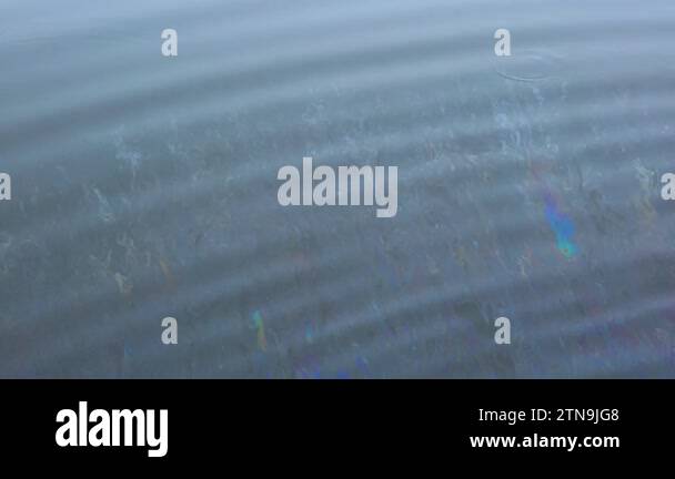 Water with patches of gasoline and oil. Oil petrol water pollution ...